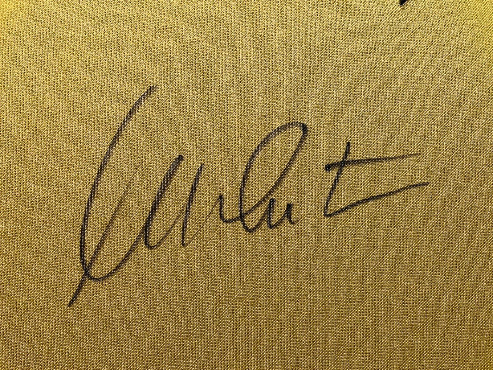 William Shatner Signed Star Trek Yellow Shirt Framed COA JSA Auto Kirk ...