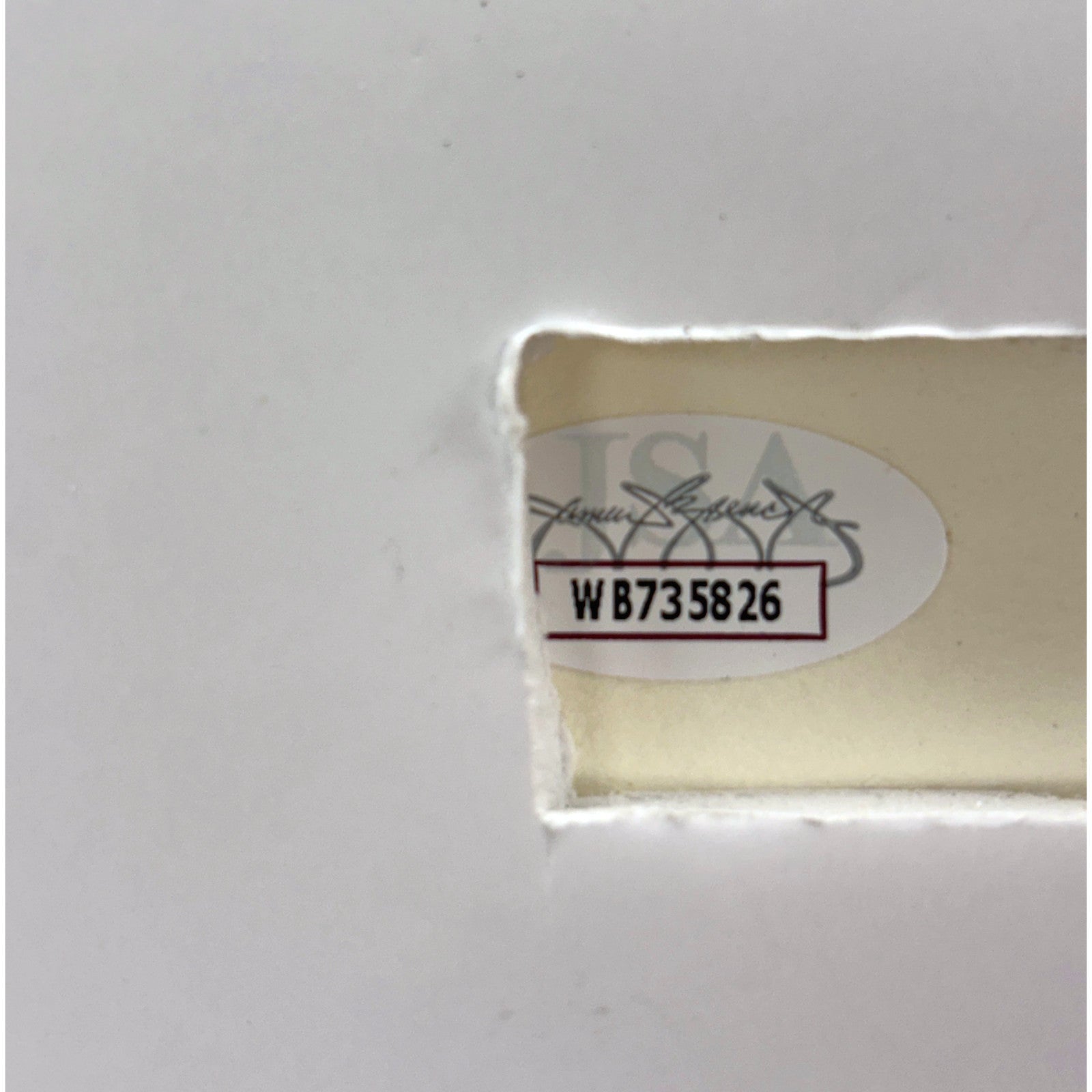 Jim Cummings Signed Tigger Etching Art JSA Sowa Reiser #/500 Framed Di ...